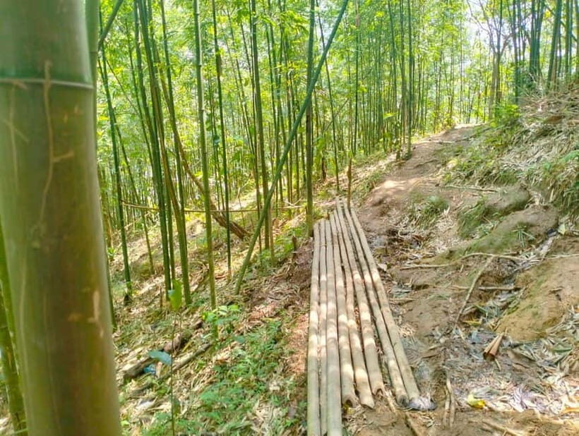 From Sapa 2-Day Sapa Trekking Trip with Homestay & Meals - Key Points