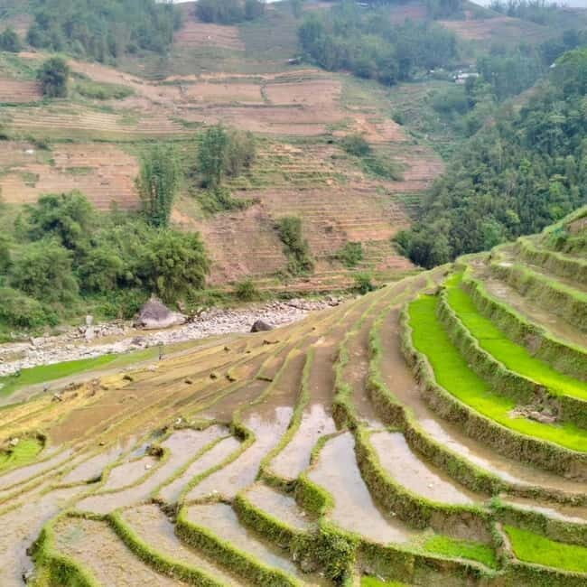 From Sapa 2-Day Sapa Trekking Trip with Homestay & Meals - The Sum Up