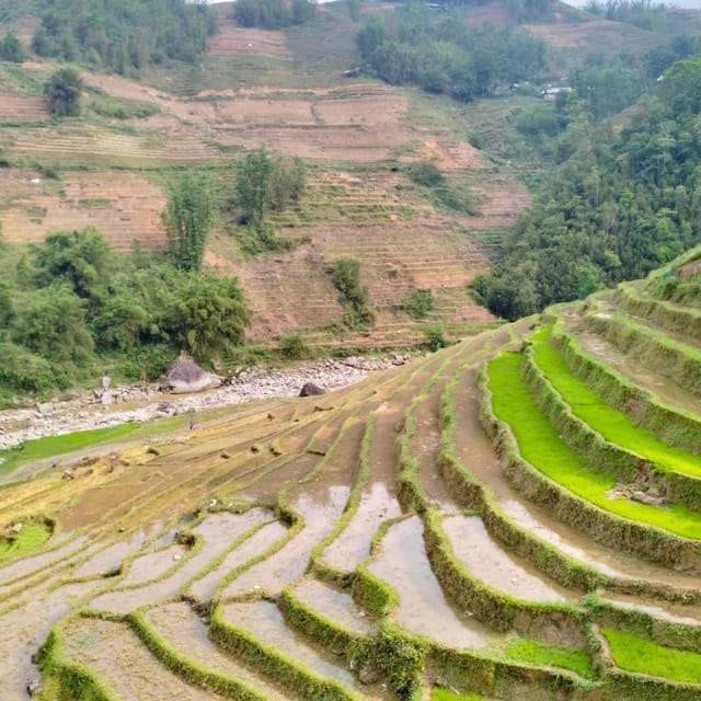 From Sapa 2-Day Sapa Trekking Trip with Homestay & Meals - Key Points