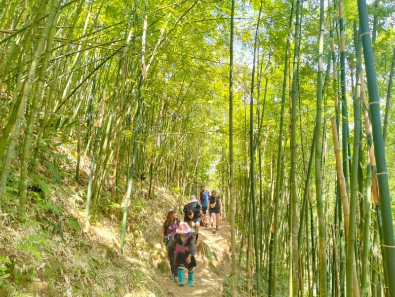 From Sapa 2-Day Sapa Trekking Trip with Homestay & Meals - Final Thoughts: Is It Worth It?