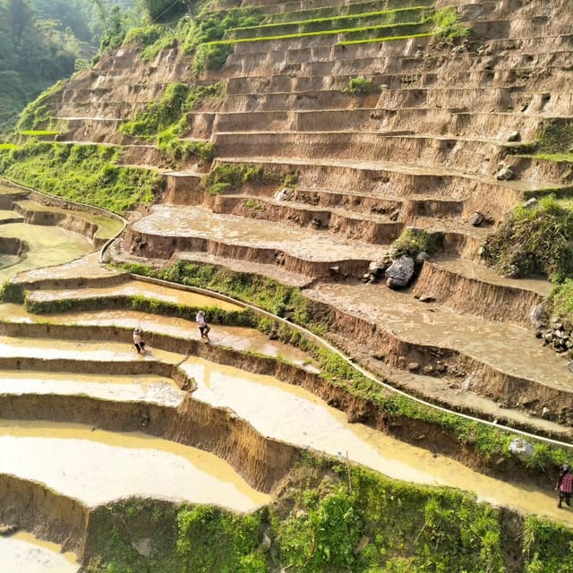 From Sapa 2-Day Sapa Trekking Trip with Homestay & Meals - FAQ