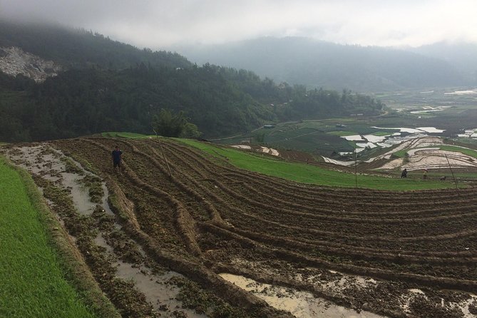 From Sapa: 2 Day Tour Through Villages and Countryside - Who Will Love This Tour?