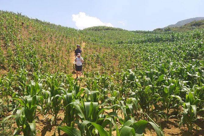From Sapa: 2 Day Tour Through Villages and Countryside - The Sum Up