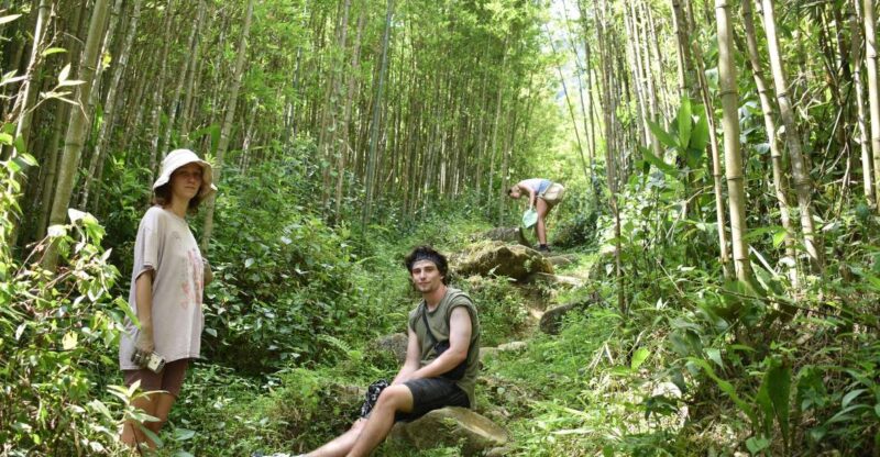 From Sapa: 2D1N Sapa Trekking Tour with Local Expert - Exploring the 2D1N Sapa Trekking Tour with a Local Expert