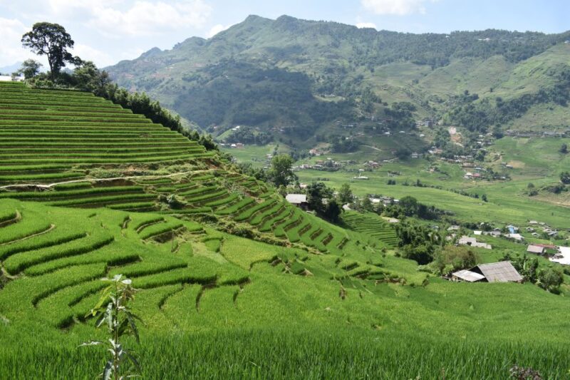 From Sapa: 2D1N Sapa Trekking Tour with Local Expert - A Detailed Look at the Itinerary