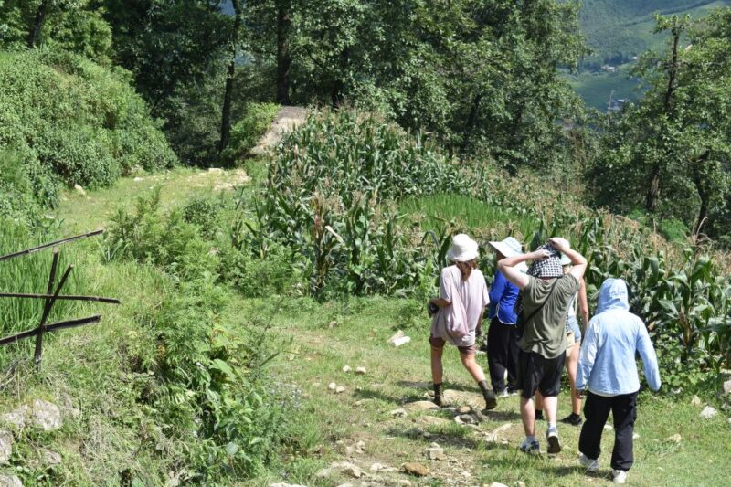 From Sapa: 2D1N Sapa Trekking Tour with Local Expert - Final Thoughts: Is This Tour Right for You?