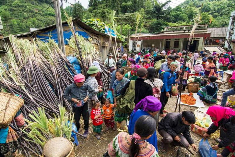 From Sapa: Bac Ha Ethnic Colorful Market Trip on Sunday - Overall Value