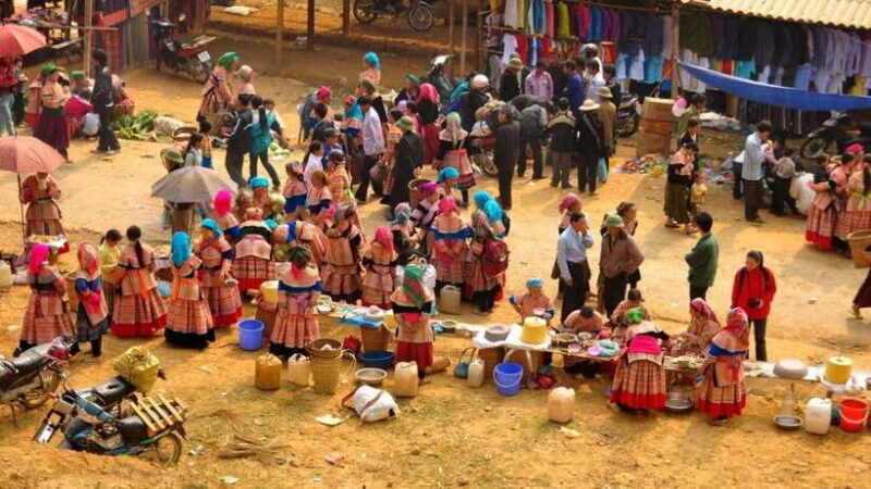 From Sapa: Bac Ha Sunday Market and Ethnic Villages Tour - Who Would Enjoy This Tour?