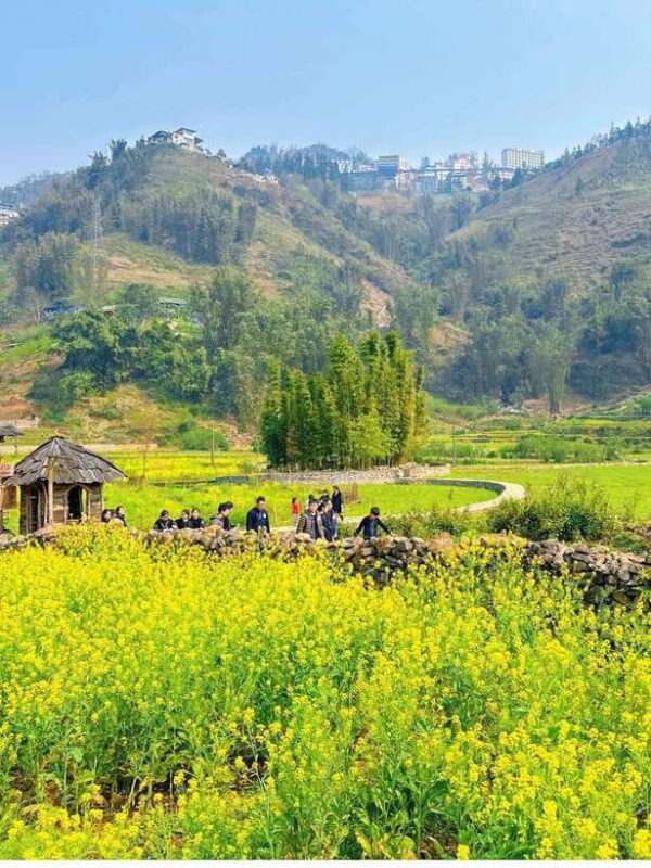 From Sapa: Cat Cat & Sin Chai Villages Private Trekking Tour - What to Expect on the Trail