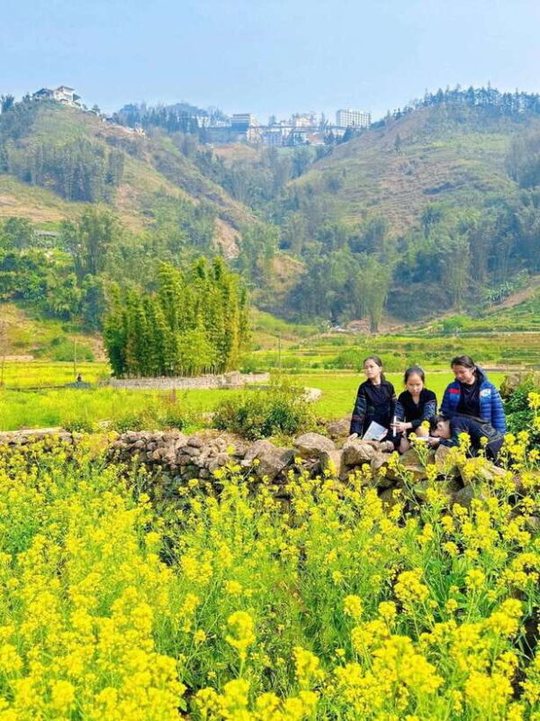 From Sapa: Cat Cat & Sin Chai Villages Private Trekking Tour - Authentic Experiences and Local Culture