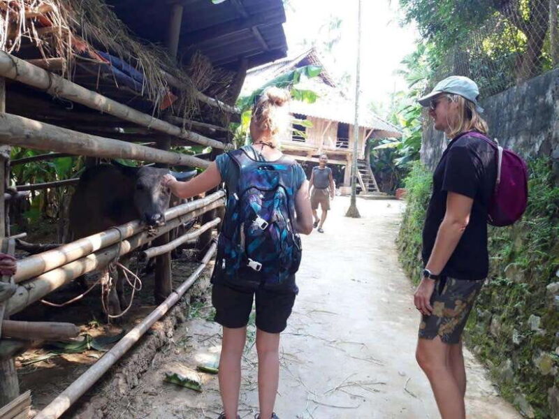 From Sapa: Cat Cat & Sin Chai Villages Private Trekking Tour - FAQ