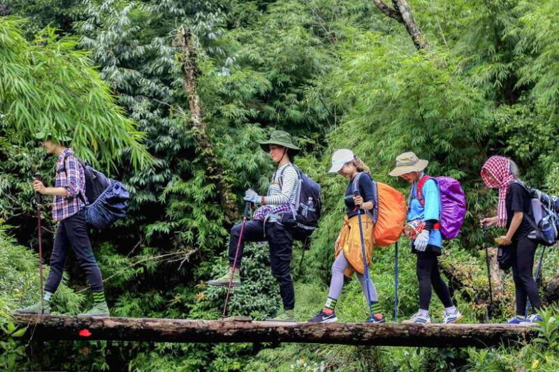 From Sapa: Fansipang Mountain Hike 1 Day - Authentic Experiences and Real Traveler Insights