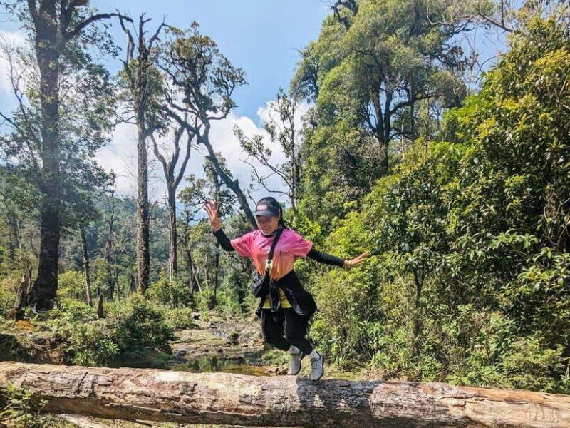 From Sapa: Fansipang Mountain Hike 1 Day - Who Should Consider This Tour?