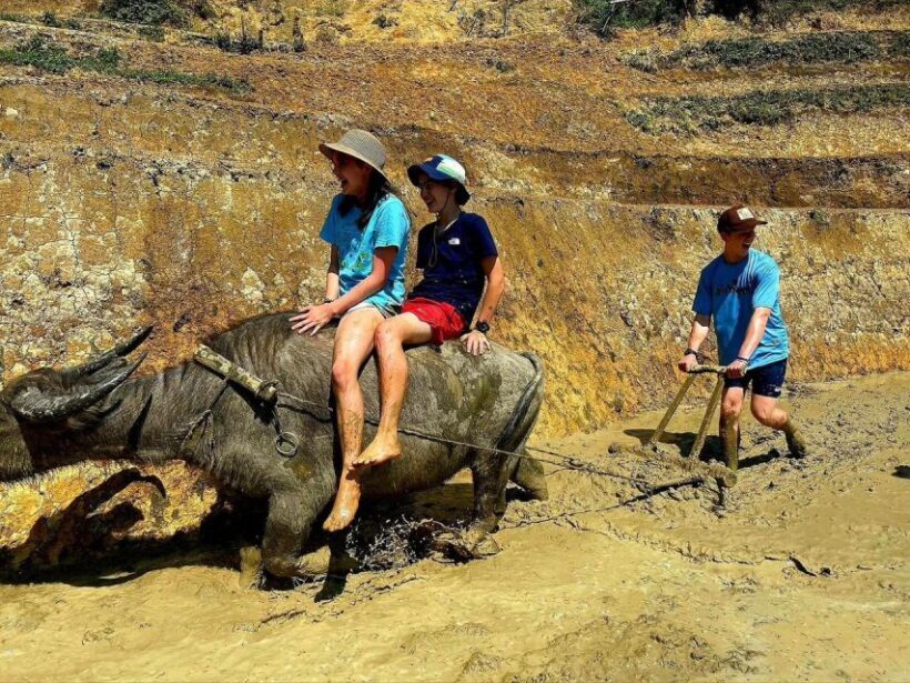 From Sapa: Full-Day Trekking Tour Lao Chai & Ta Van Villages - Key Points