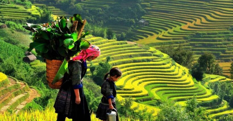 From Sapa: Full-Day Trekking Tour Lao Chai & Ta Van Villages - Authentic Encounters and Local Life
