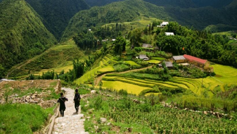 From Sapa: Full-Day Trekking Tour Lao Chai & Ta Van Villages - The Sum Up
