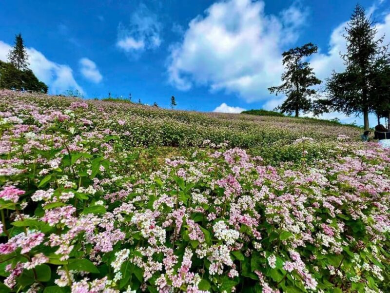 From Sapa: Ha Giang Loop 3 day Motorbike Tour With Rider - Final Thoughts