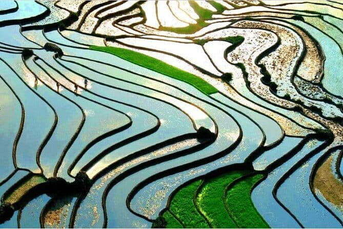 From Sapa: Half-day Guided Trek to Lao Chai & Ta Van with Lunch - The Sum Up