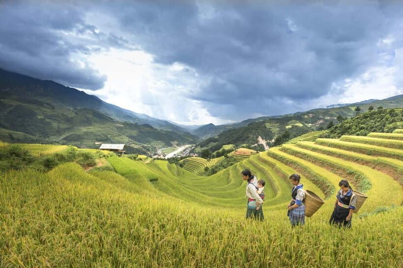 From Sapa Homestay Hideaway 2-Day Local Life Adventure - Introduction: A Genuine Taste of Sapa’s Rural Charm