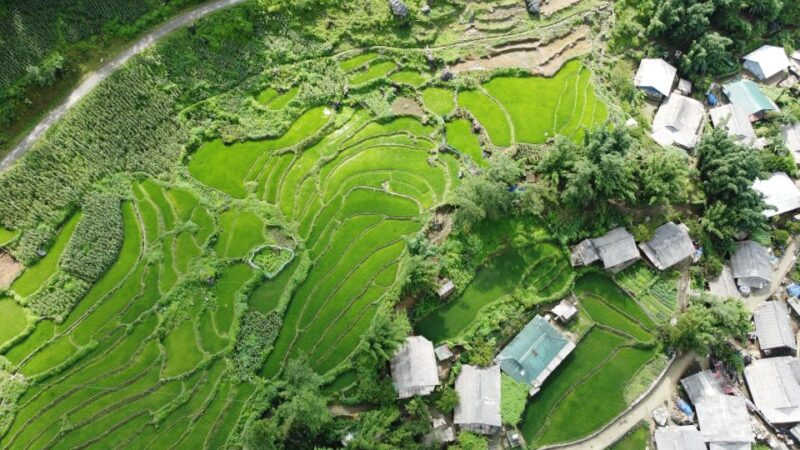 From Sapa Homestay Hideaway 2-Day Local Life Adventure - The Itinerary: What to Expect