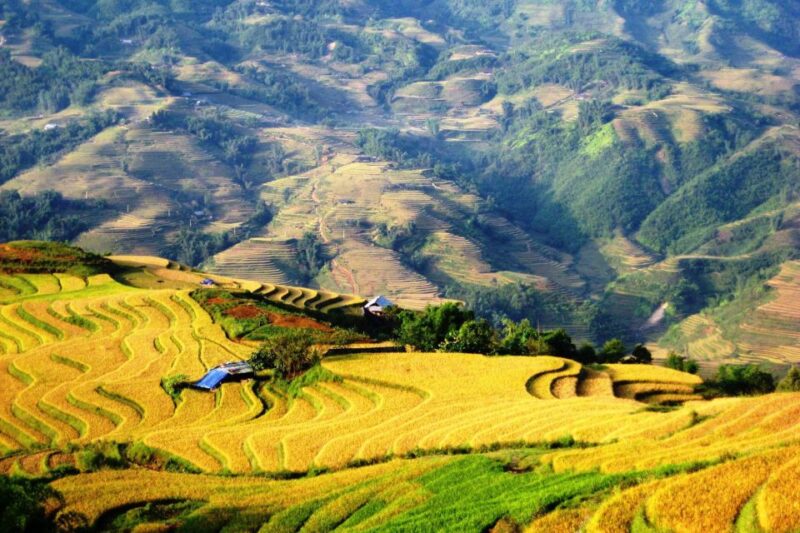 From Sapa Homestay Hideaway 2-Day Local Life Adventure - Authenticity and Real-Life Experiences from Reviews