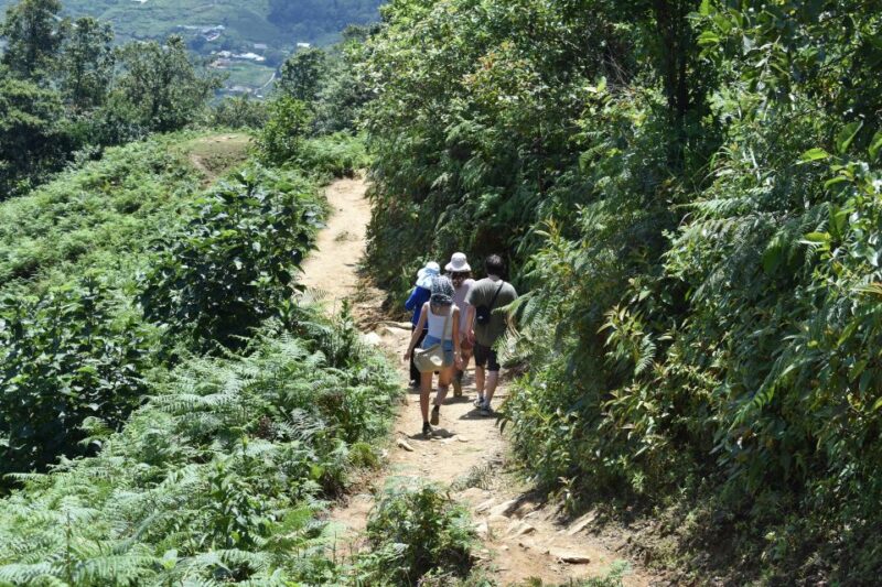 From Sapa: Muong Hoa Valley View & Village Trek 1-Day - The Value of This Tour