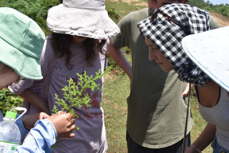 From Sapa: Muong Hoa Valley View & Village Trek 1-Day - Frequently Asked Questions