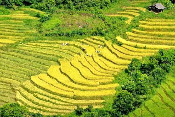From Sapa: Sapa Trekking Private Tour With Female Ethnic Guide - A Closer Look at the Itinerary