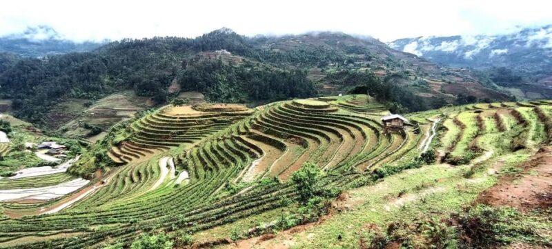 From Sapa: Suoi Ho, Lu Khau and Xa Xeng villages 1 day trek - The Cultural and Practical Value
