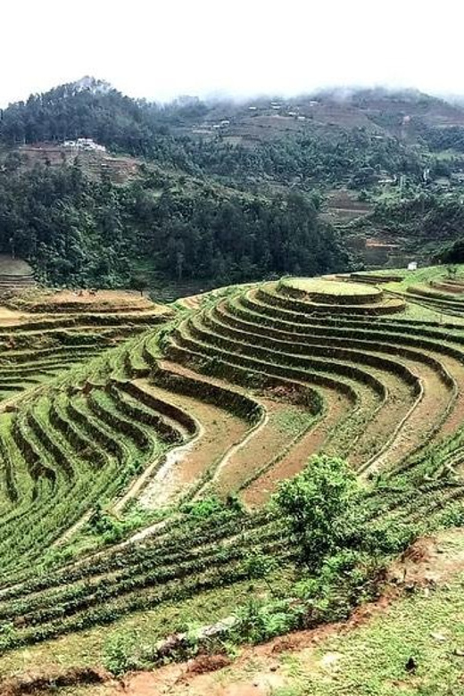From Sapa: Suoi Ho, Lu Khau and Xa Xeng villages 1 day trek - Who Is This Tour Best For?