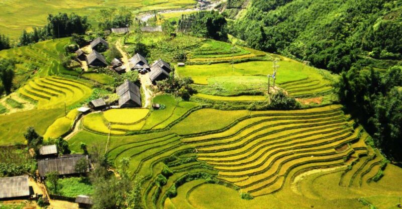 From Sapa: Terrace Fields and Local Villages Trek with Lunch - Who Will Love This Tour?