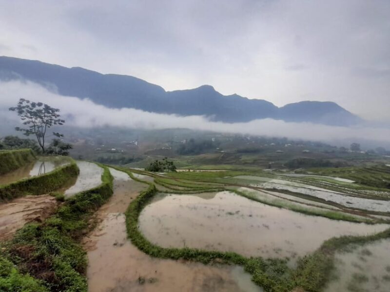 From Sapa to Y Linh Ho/Lao Chai/Ta Van/Ban Ho by Motorbike - Authentic Experiences and Traveler Opinions