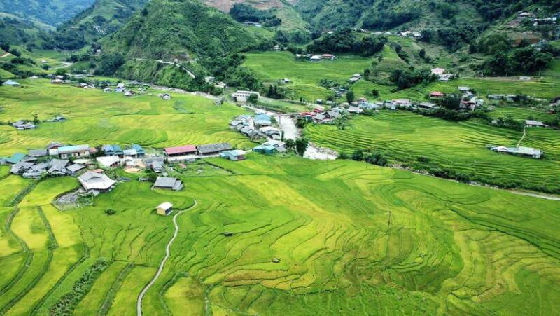 From Sapa: Trek 2 days - Homestay in Ta Van - Recommended - Final Thoughts: Who Is This Tour Best For?
