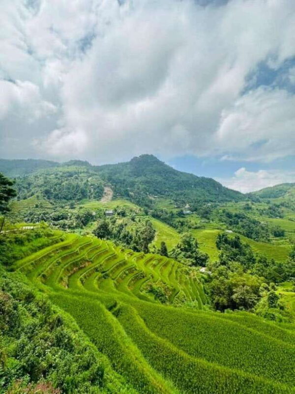 From Sapa: Trekking 1 Day Y Linh Ho - Lao Chai - Ta Van - From Sapa: Trekking 1 Day Y Linh Ho - Lao Chai - Ta Van