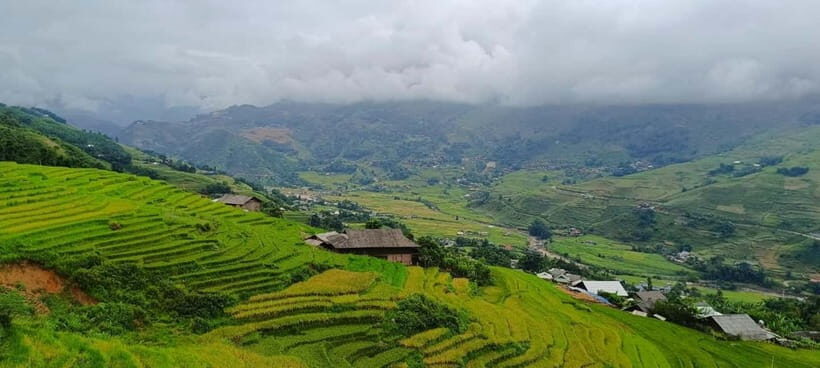 From Sapa Visit Lao Chai/Ta Van/Giang Ta Chai Sleep Homestay - An In-Depth Look at the Sapa Trekking Experience