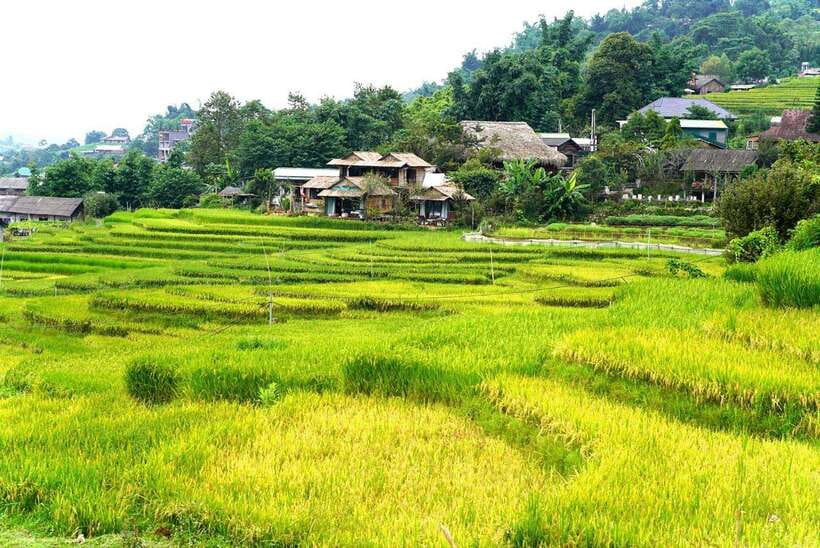 From Sapa Visit Lao Chai/Ta Van/Giang Ta Chai Sleep Homestay - Introduction: An Authentic, Scenic Trek in Sapa