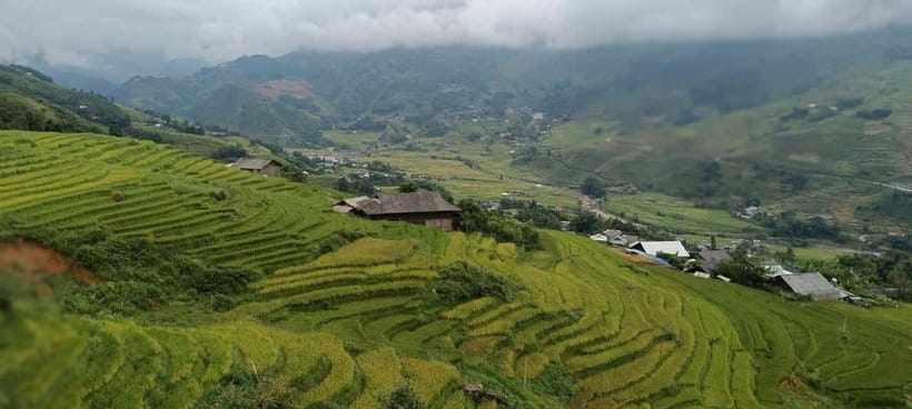 From Sapa Visit Lao Chai/Ta Van/Giang Ta Chai Sleep Homestay - Possible Drawbacks or Considerations