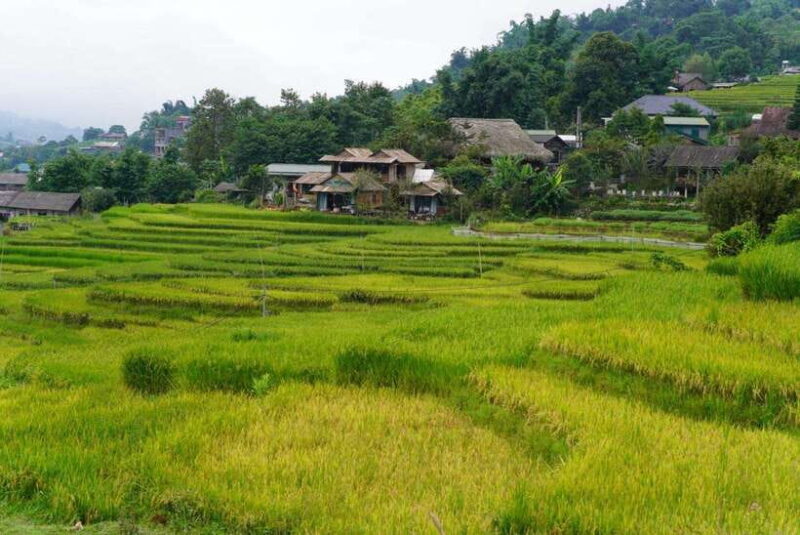 From Sapa Visit Lao Chai/Ta Van/Giang Ta Chai Sleep Homestay - Practical Details and Tips