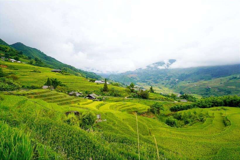 From Sapa Visit Lao Chai/Ta Van/Giang Ta Chai Sleep Homestay - FAQ