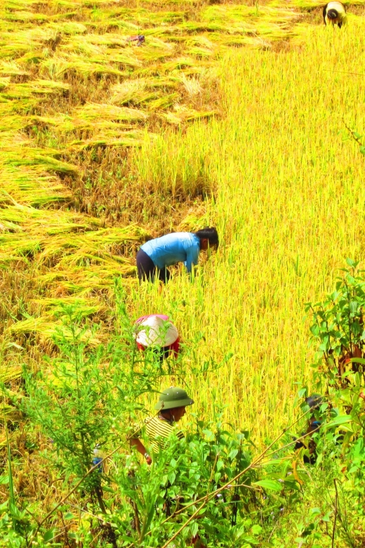 From Sapa: Waterfalls, Trekking and Tribal Villages Tour - Exploring the Sapa Waterfalls, Trekking, and Tribal Villages Tour