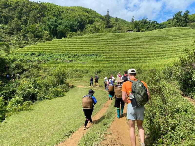 From Sapa: Y Linh Ho, Lao Chai & Ta Van Trek Day Tour - Frequently Asked Questions (FAQs)