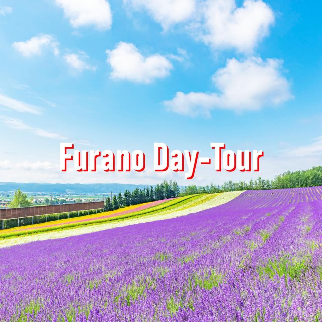 From Sapporo: 10-hour Customized Private Tour to Furano - Transportation and Service Details