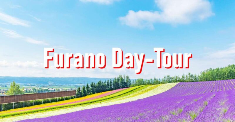 From Sapporo: 10-hour Customized Private Tour to Furano - Highlights and Attractions