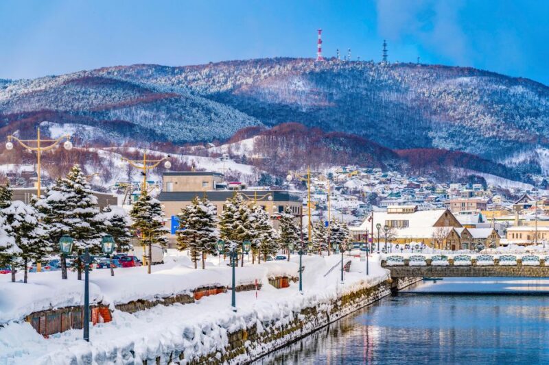 From Sapporo: 10-hour Customized Private Tour to Otaru - Cancellation Policy