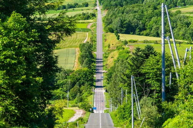 From Sapporo: Biei, Furano or Asahikawa Private Day Tour - Introduction: A Private Journey into Hokkaido’s Natural Beauty