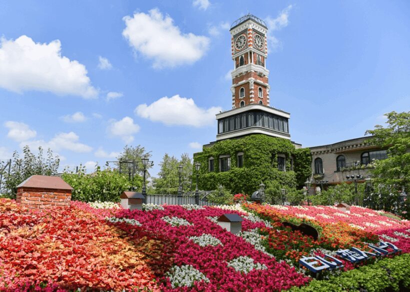 From Sapporo: Hokkaido Highlights Day Trip - The Sum Up