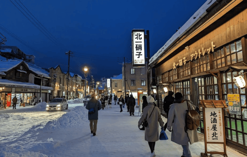 From Sapporo: Private Customized Day Tour to Otaru - Inclusions and Transportation