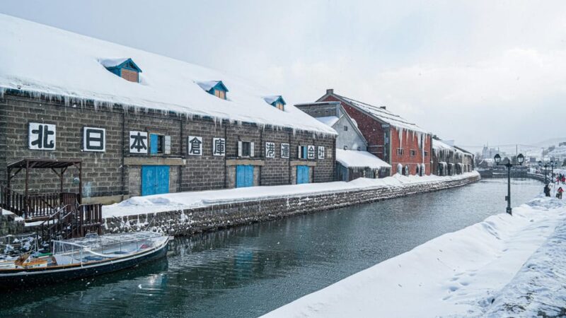From Sapporo: Private Customized Day Tour to Otaru - Customizing Your Itinerary