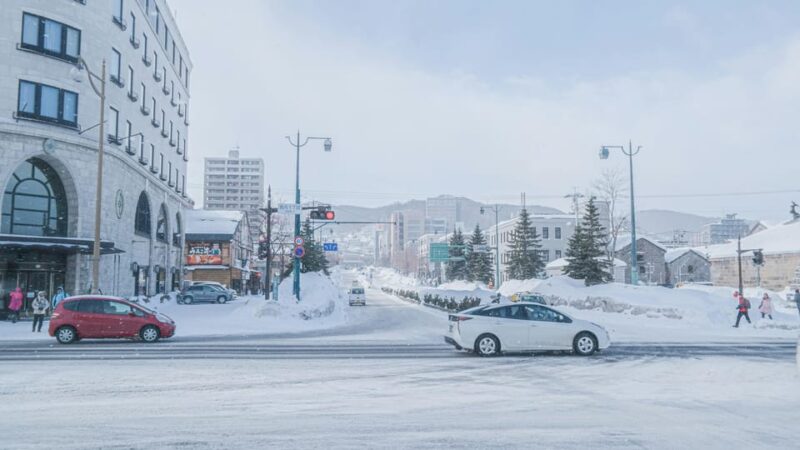 From Sapporo: Private Customized Day Tour to Otaru - Exploring Otarus Charming Sights