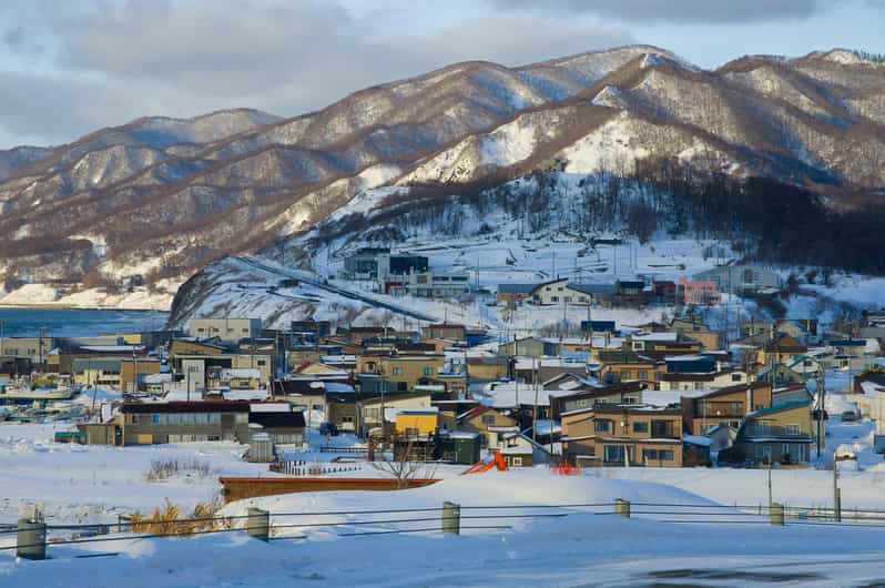 From Sapporo: Private Day Tour to Biei, Furano and Asahikawa - Key Points